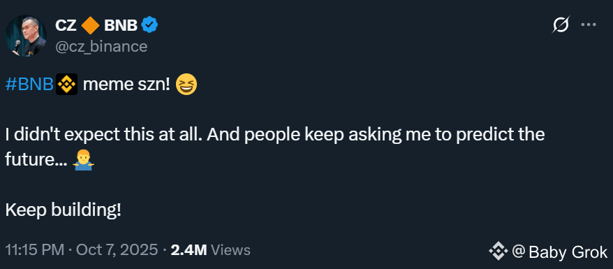 #BNBmemeszn CZ Declares “BNB Meme SZN” Last night, | Baby Grok BNB on ...