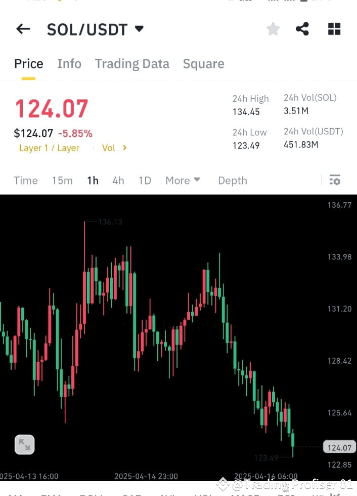 $SOL /USDT – Pullback Testing Key Support at $124.00 Solan | Trading ...