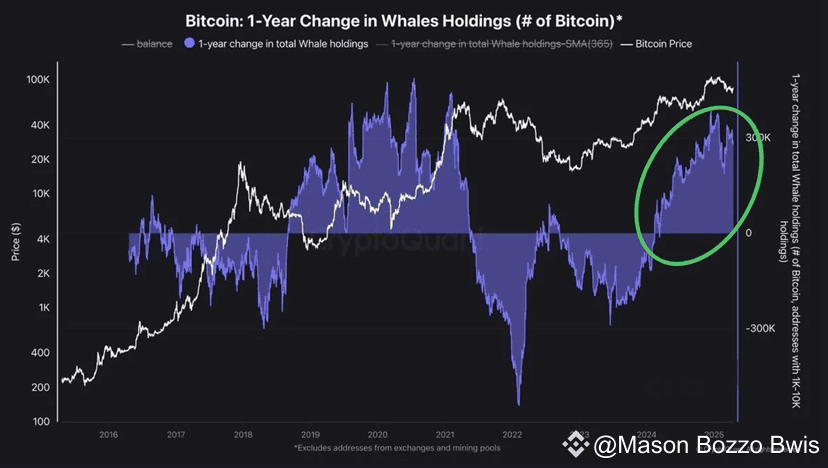 #XRPETFs WHALES ARE BUYING UNPRECEDENTED AMOUNTS OF BITCOIN | Mason ...