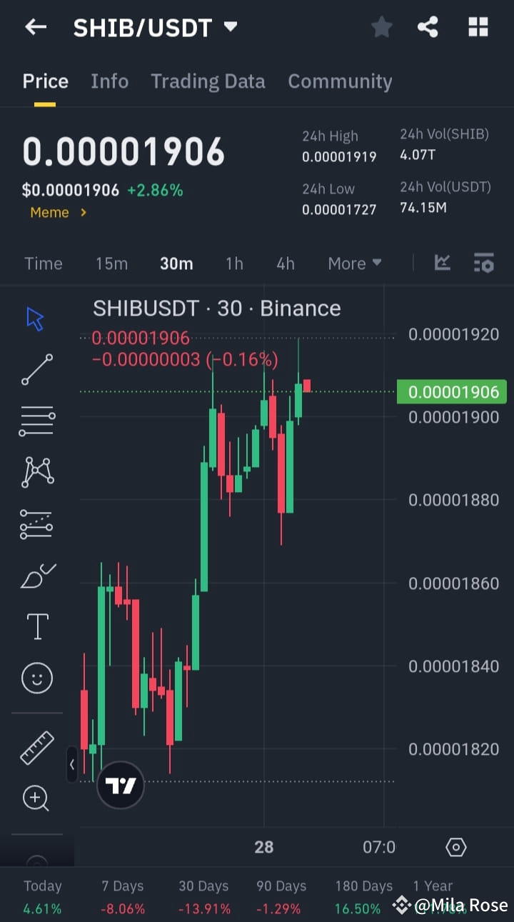 $SHIB /USDT Showing Bull Run Outlook 💯 💥 📈 Ready to Cat | Mila Rose on Binance Square