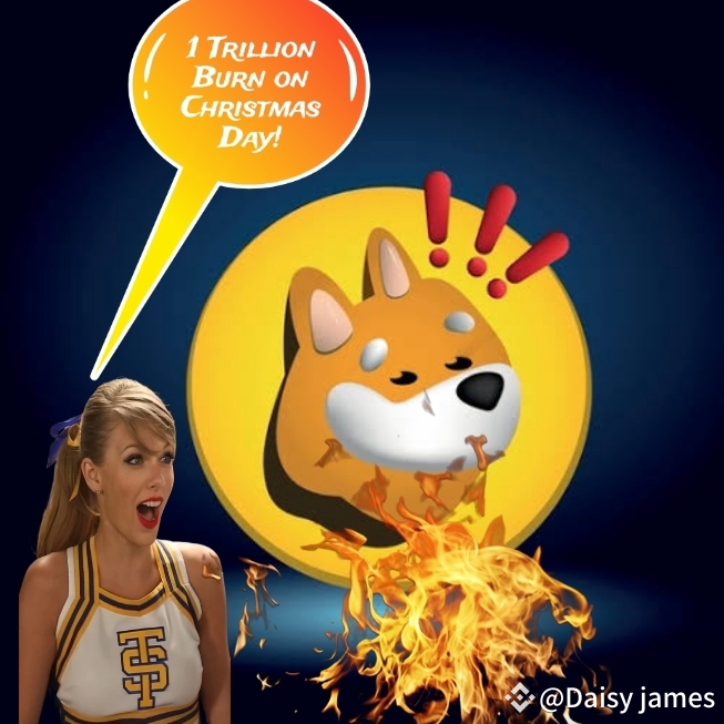 $BONK 🔥🔥 Burning 1 Trillion BONK Tokens by Christmas, BONK | Daisy ...