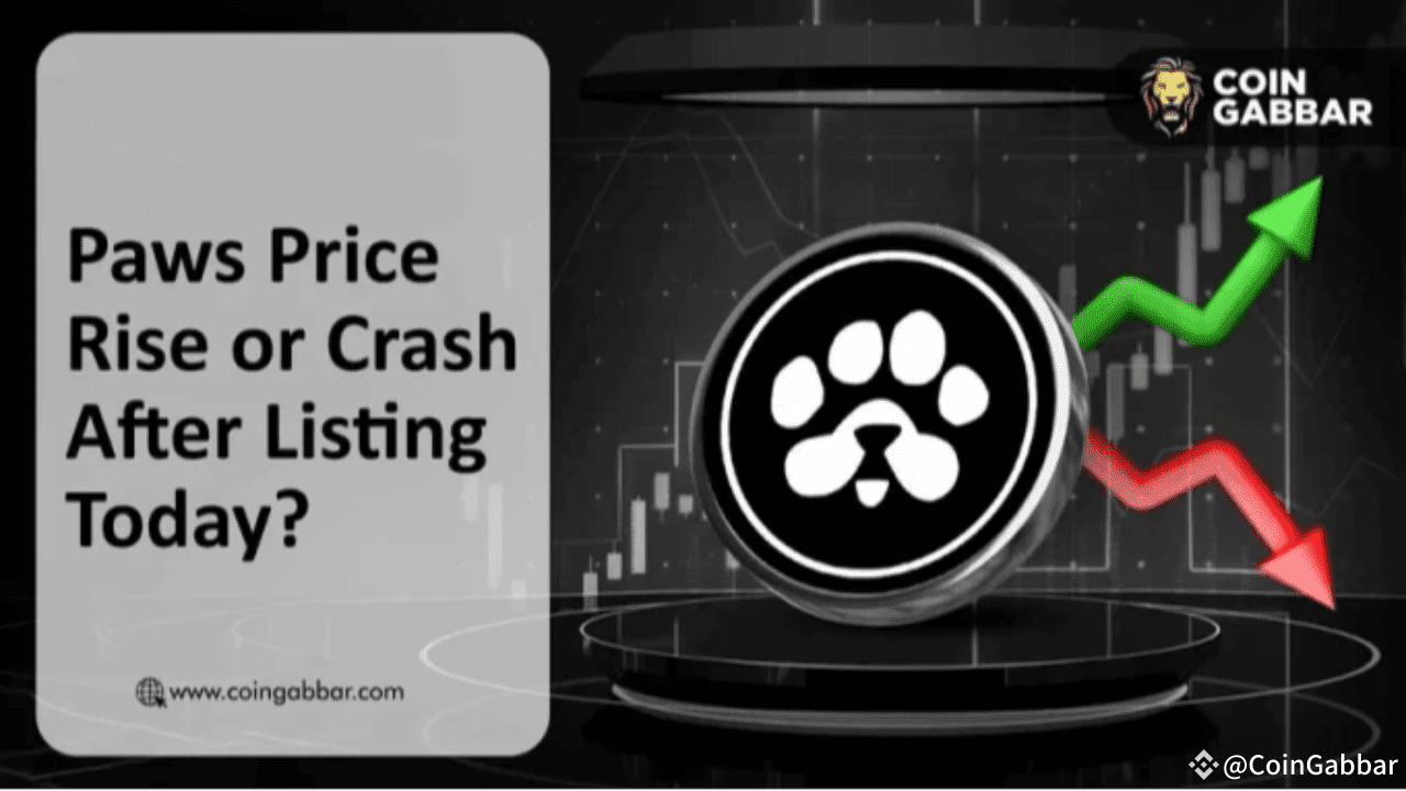 Paws listing Date Today: Paws Price in Danger, Brutal Dump Ahead ...