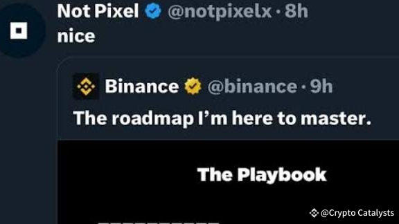 Изучаем будущее Not Pixel на Binance: предстоящие проекты и ...