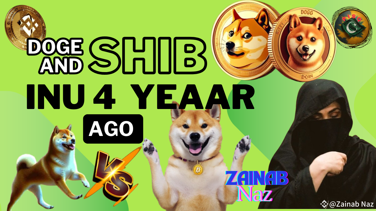 (Doge)And(SHIB) 4 Year Ago?🇵🇰💸🇵🇰🤑 | Zainab Naz on Binance Square