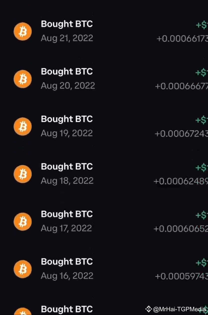 1 investor accumulates 30$ bitcoins daily for 9 years of pe | MrHai ...