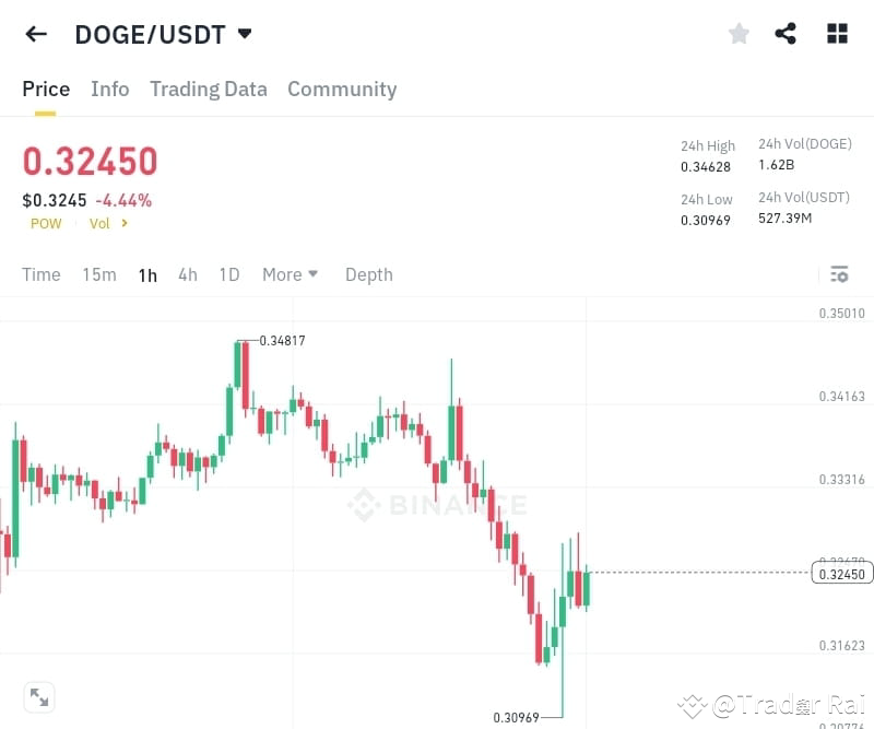 $DOGE /USDT Trading Signal – Consolidation Near Support Cu | Trader Rai on Binance Square