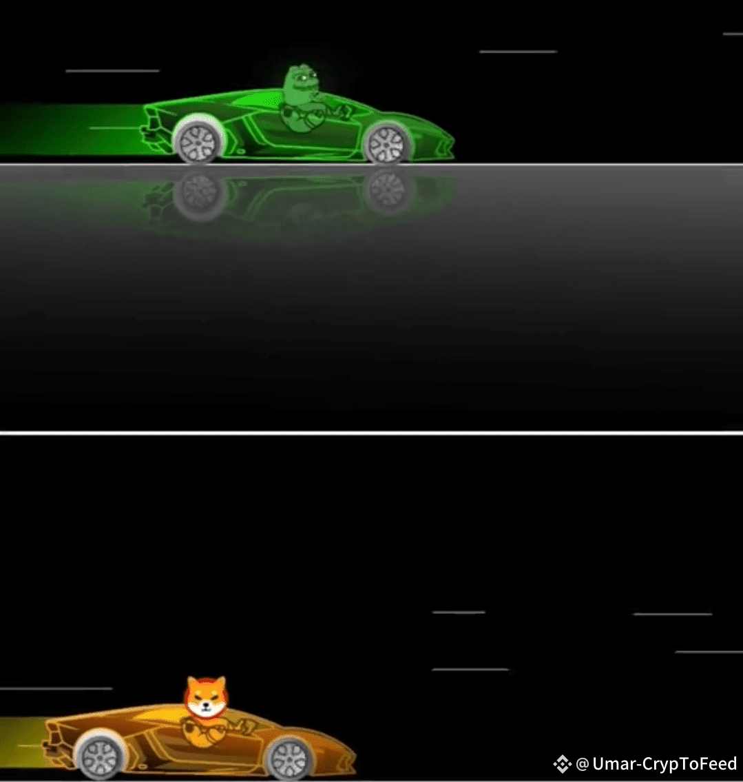 Which Meme Could Buy You a Lamborghini? PEPE or SHIBA INU? | Ashii ...
