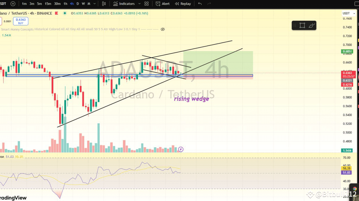 ADA Update | Bit Bull on Binance Square