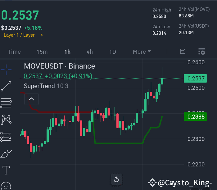 $MOVE /USDT – HIGH LEVERAGE LONG SETUP (20x Isolated) $MOVE | Crypto_King-- on Binance Square