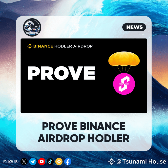 🔈🔈 Introducing Succinct (PROVE) on Binance HODLer Airdrops | Tsunami ...