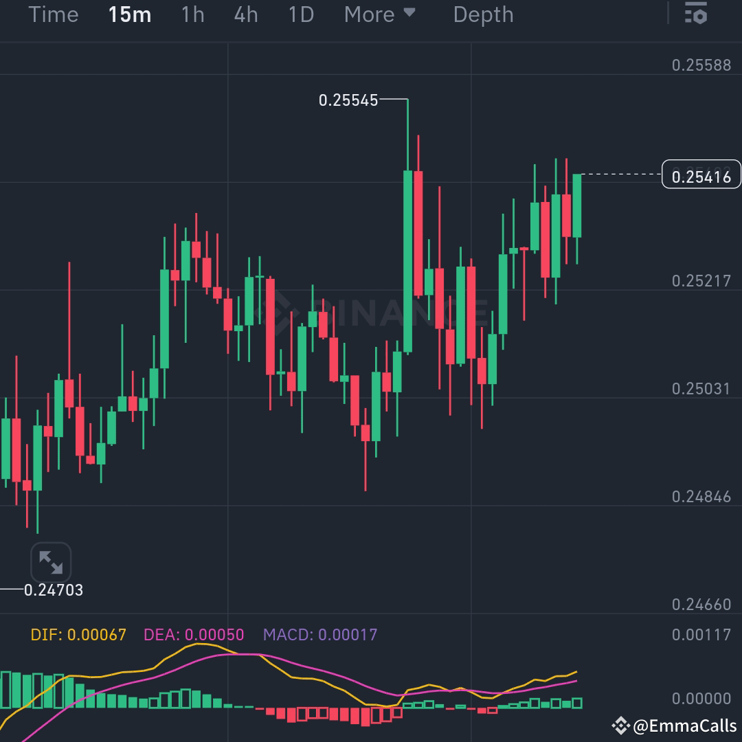 $DOGE /USDT – Consolidation Before the Next Move $DOGE /U | EmmaCalls on Binance Square