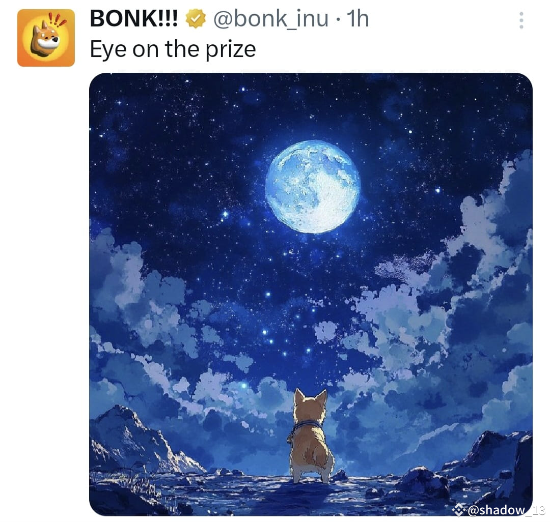 $BONK eye on the prize 🔥🔥🔥🚀🚀🔥🔥 it's time to 🚀🚀🚀 #B | shadow_13 on ...