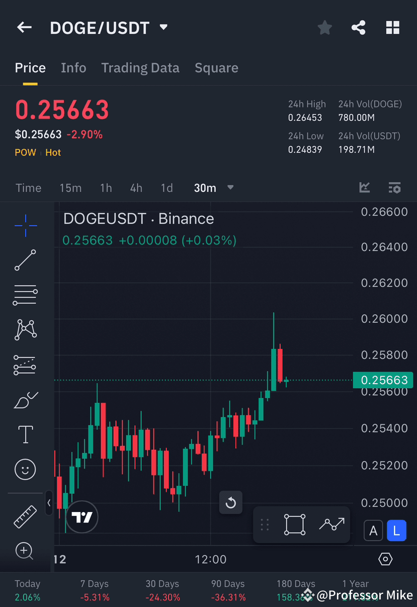 $DOGE /USDT – Unstoppable Surge from the Bottom! 💯🔥 DOGE | Professor ...
