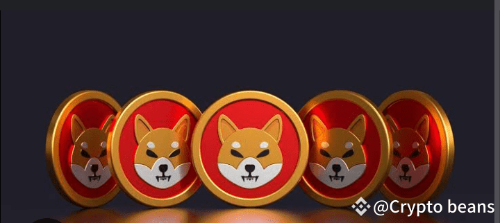 SHIBA INU PREPARES FOR POTENTIAL SHIB ETF INFLOWS! Shiba In | Crypto ...