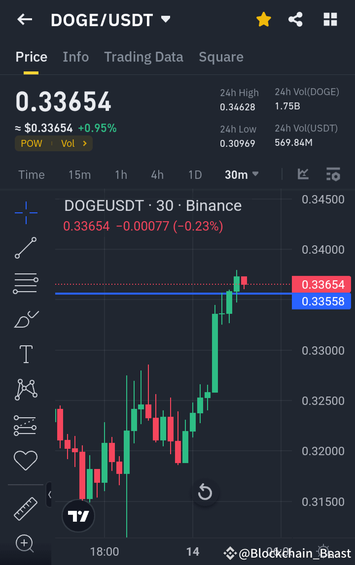 $DOGE /USD Bull Run Alert!🔥💯 The price is pushing higher, | Blockchain_Beast on Binance Square