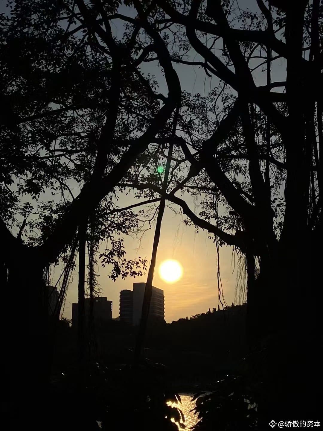 Turn Breakthrough Sideways Adjustment Continue Breakthrough | 骄傲的资本 on ...