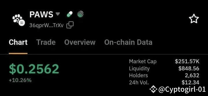 🚀 PAWS Token Update 🔥 PAWS is currently trading at $0.256 | Cyptogirl ...