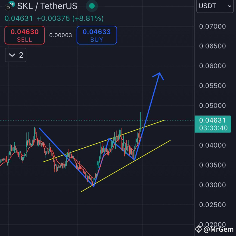 Long $SKL NOW Targets: 50-100-200% Stoploss: $0.04 | MrGem on Binance ...