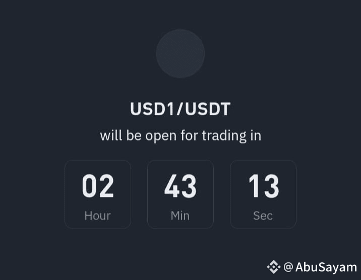 CUENTA REGRESIVA HACIA EL CAOS $USD1 LANZAMIENTO 🚀🚀🚀 Pre | AbuSayam en Binance Square
