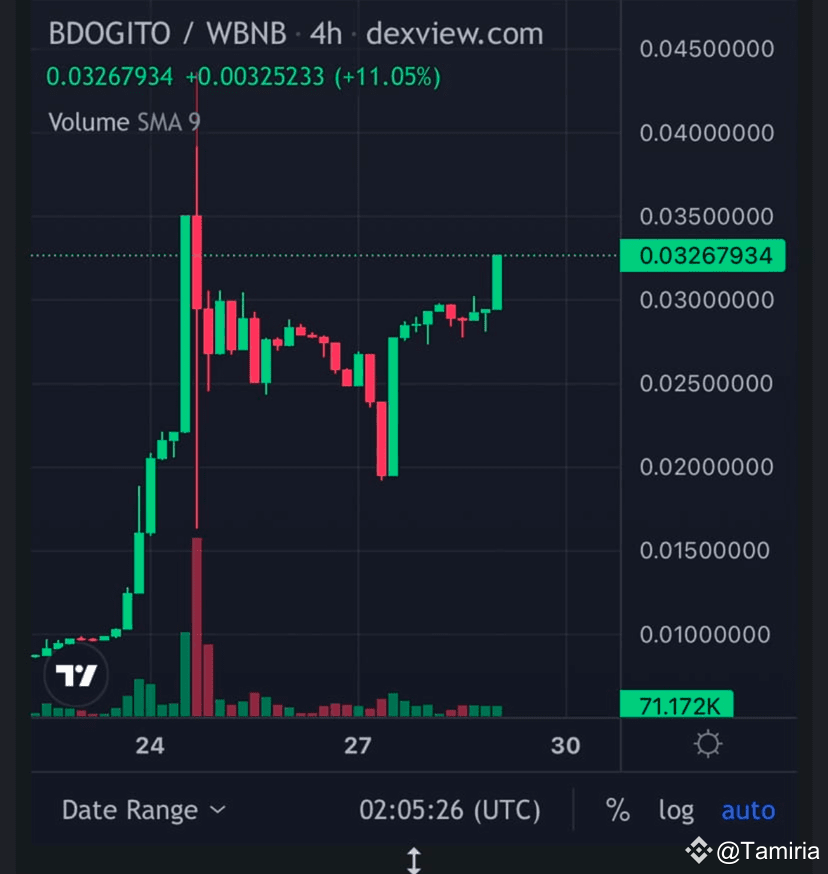 BULLDOGITO IS THE MOON 🚀🚀🚀 | Tamiria on Binance Square