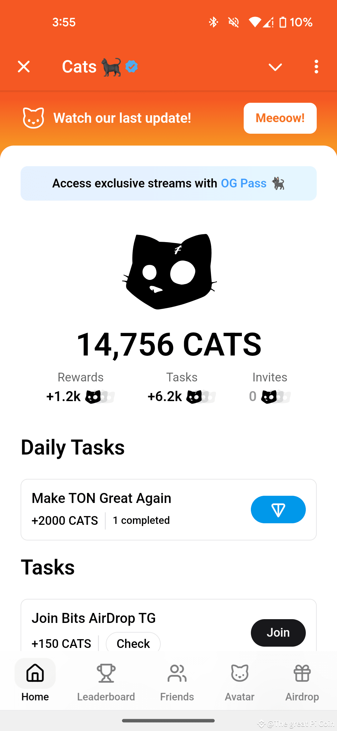 How many CATS do you have right now?? 🤔🤔🤔 comment 👇👇 | The great Pi ...