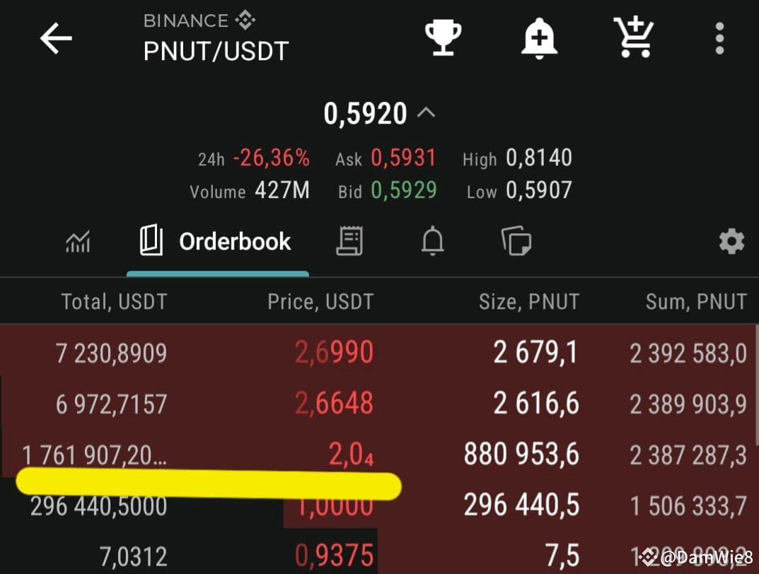 $PNUT pump !!!!! | DamWie8 on Binance Square