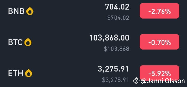Market Update - Red Zone for Top Tokens 📉 1. $BNB Pric | Janni Olsson ...
