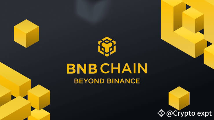 Future of $BNB BNB, the native token of the Binance | Crypto expt on ...