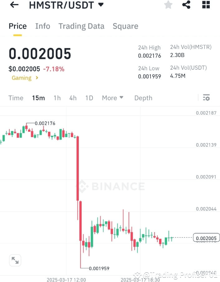 🐹🚀 $HMSTR /USDT – Volatility Surge! Is a Rebound Incoming? | Trading Profiser 01 on Binance Square