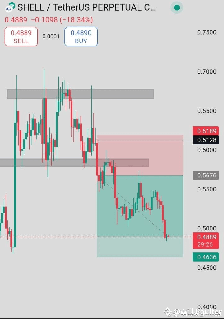 $SHELL NEXT MOVE: BEARS IN CONTROL! 🔻🔥 📉 SHELL/USDT Ana | Will Poulter ...