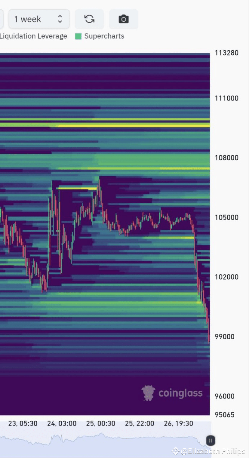 🚨Bitcoin Heat Map Liquidation Update: Bitcoin grab almost a | Elizabeth ...