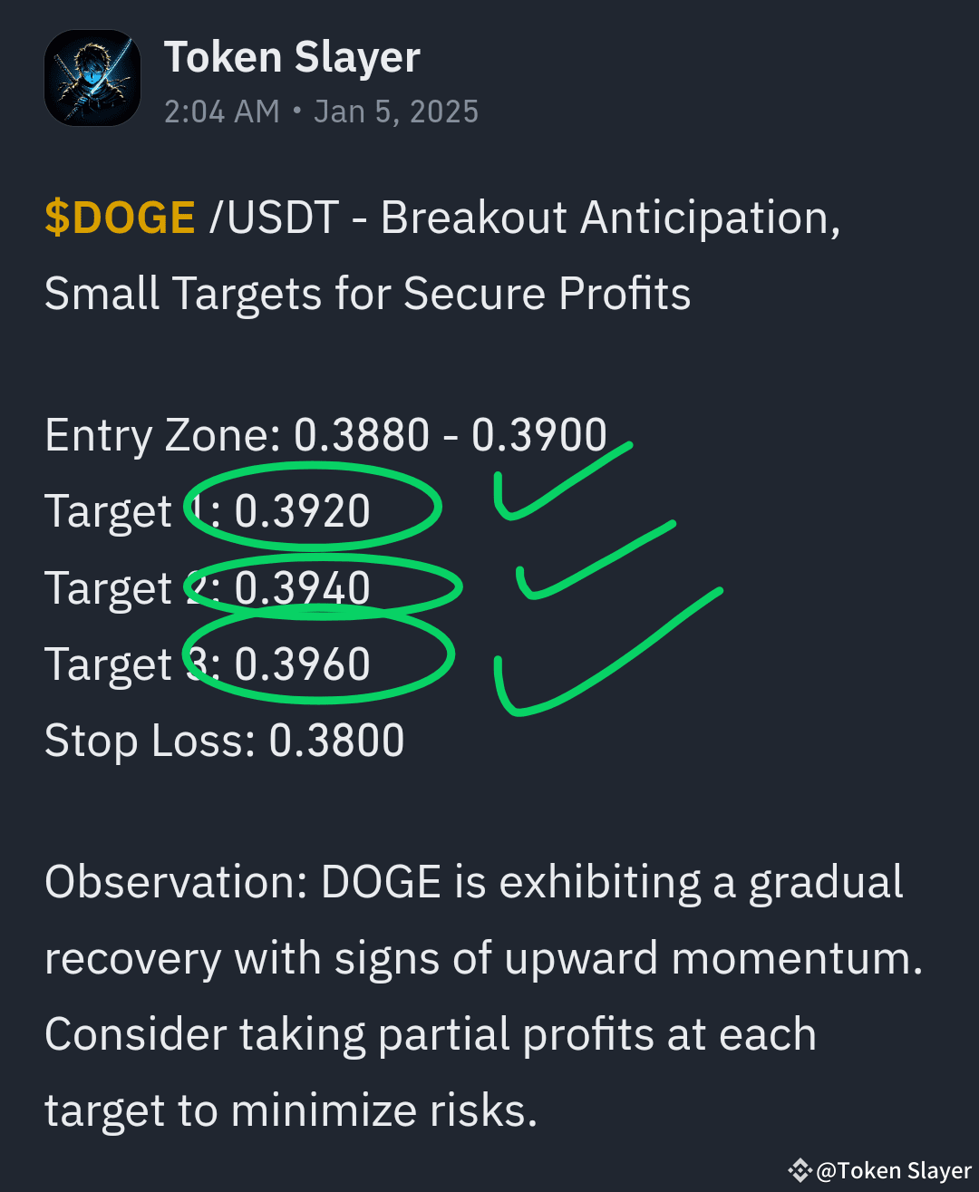 💵$DOGE - Signal provided 10 hours before from now have hit | Token Slayer on Binance Square