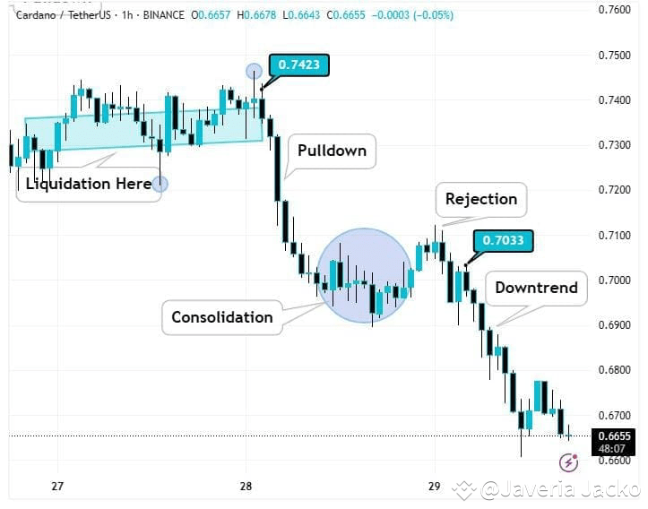 $ADA The Cardano/TetherUS chart, despite the current downt | Javeria ...