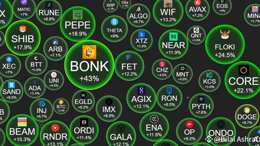 LIST OF TOP ALTCOINS THAT WILL LEAD THE RECOVERY RALLY | Bitcoin Hodler ...