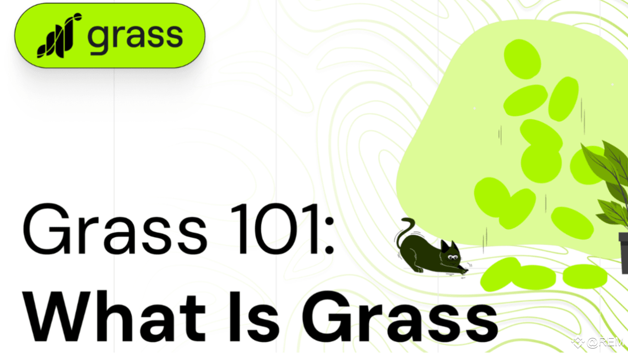 Don't miss: After October 21, an important event in the world of GRASS ...