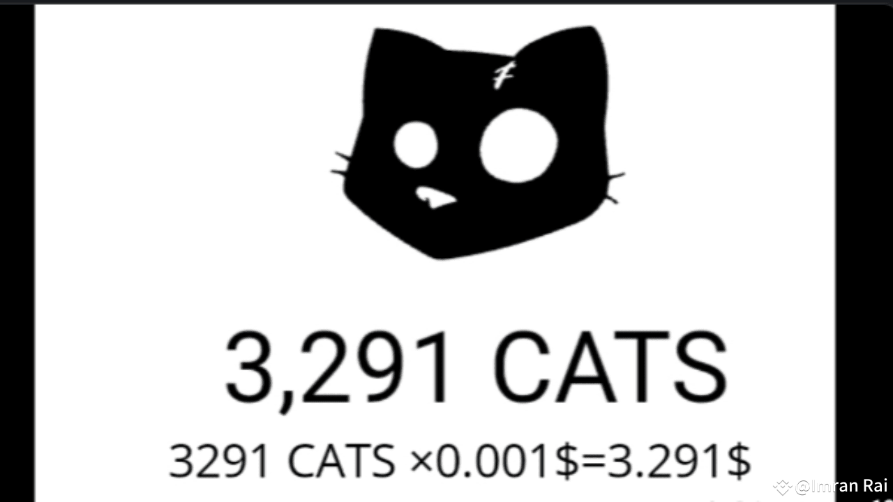 Understanding $CATS Tokens and Calculating Potential Income. How Much ...