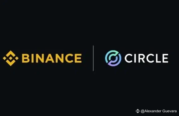 Binance partners with the main competitor of USDT The large | Alexander ...