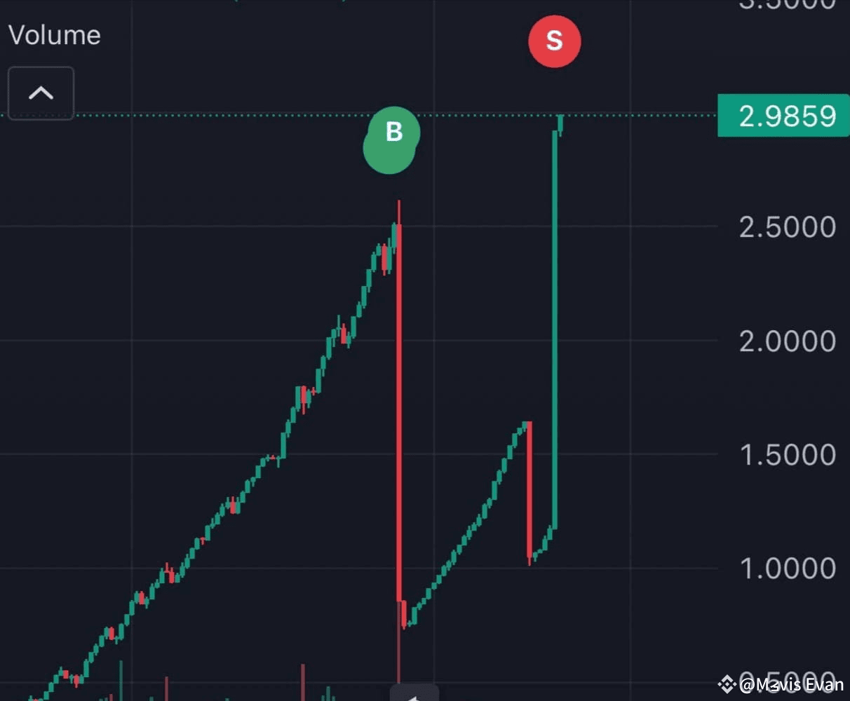 🚀 The Story of a Trader Who Refused to Lose 🎢💰 This trad | Mavis Evan ...