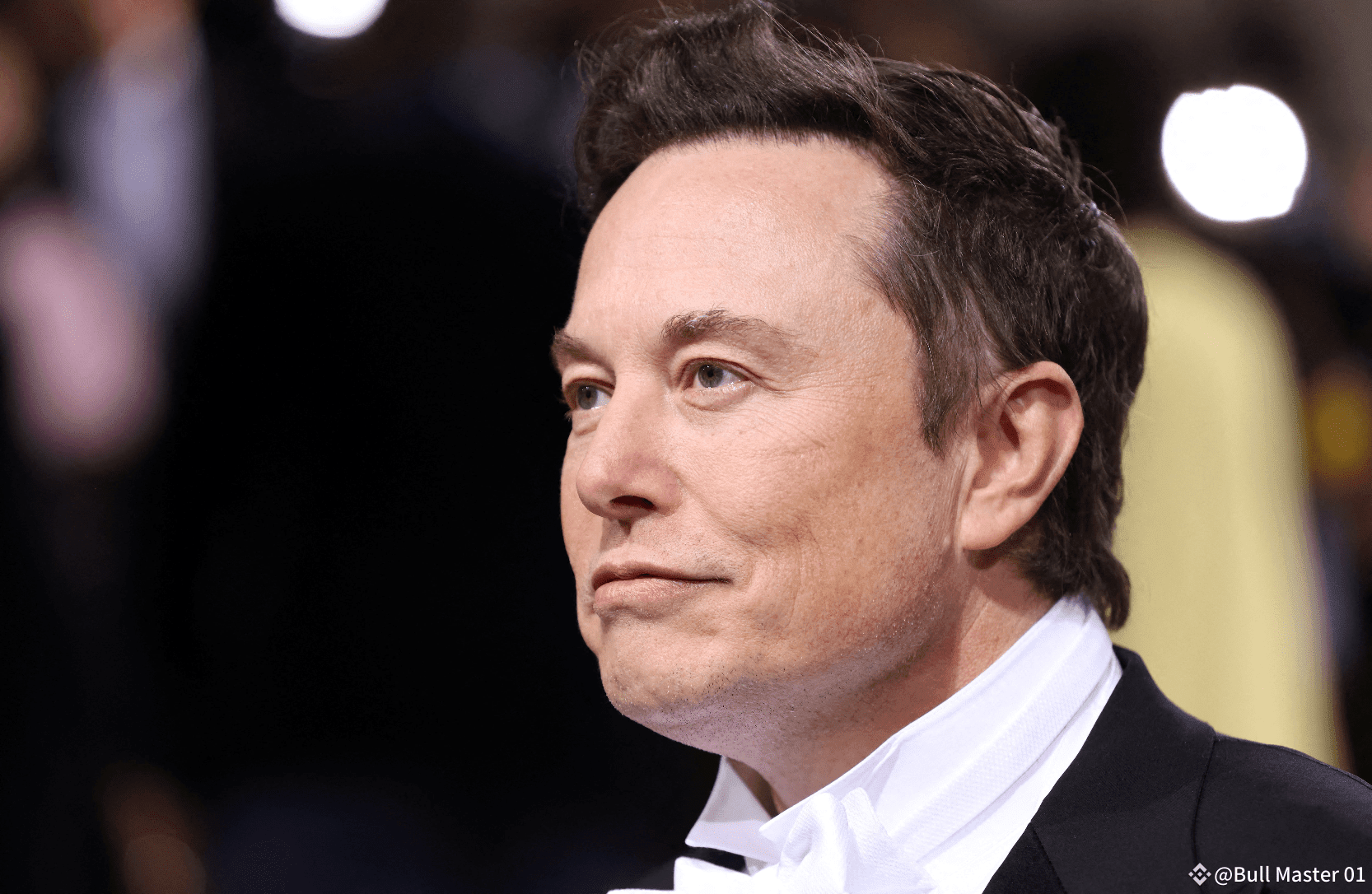 Elon Musk’s D.O.G.E Launches Probe into Federal Wealth Discr | Bull ...