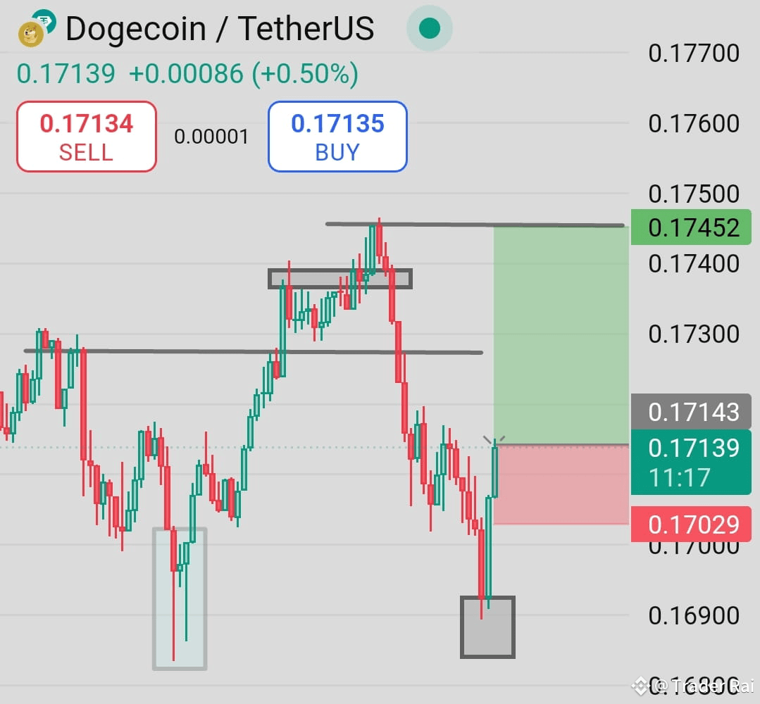 $DOGE – The Doge Awakens! Current Price: 0.17139 (+0.50%) | Trader Rai ...
