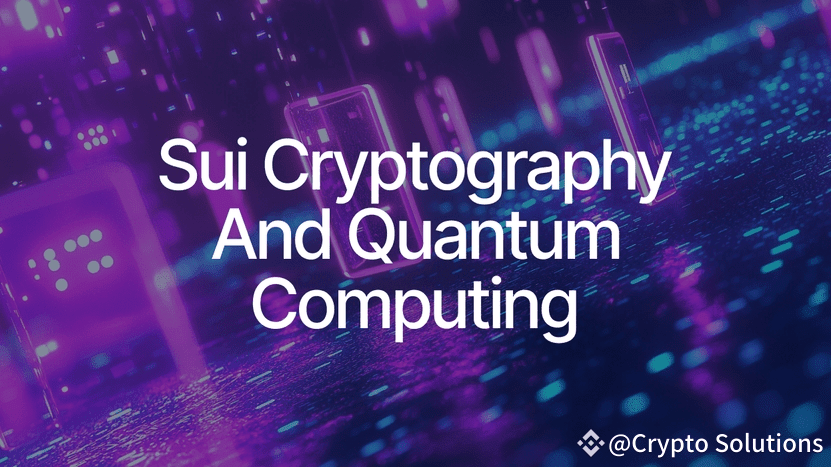 Sui’s Quantum-Resilient Future: How Cryptographic Agility Is Defending ...