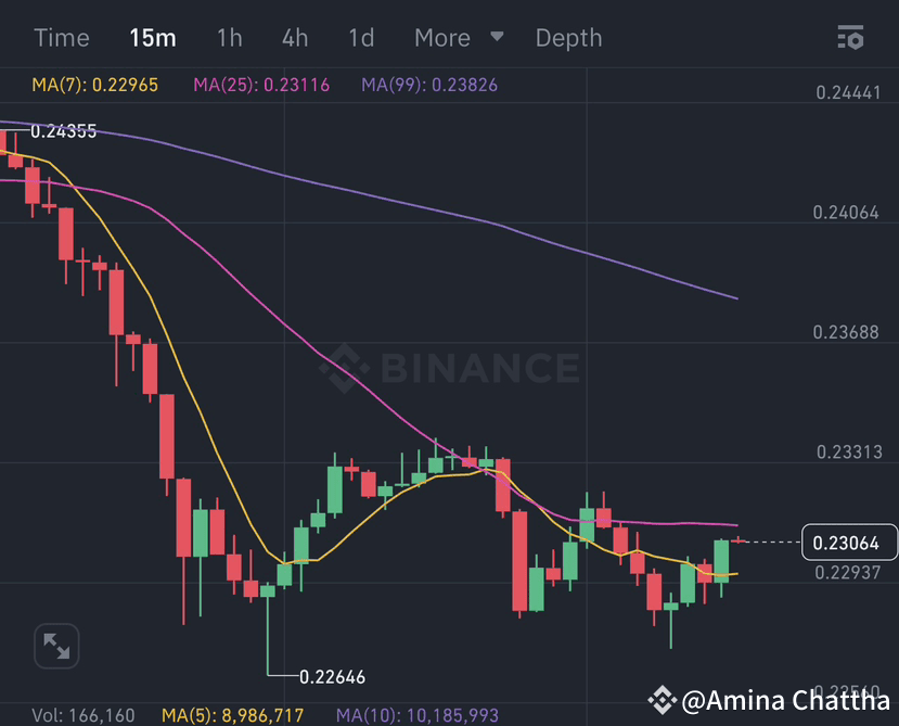 $DOGE Key Support Holding, Reversal Soon? 🔥🚨 📌 Price: $0 | Amina ...