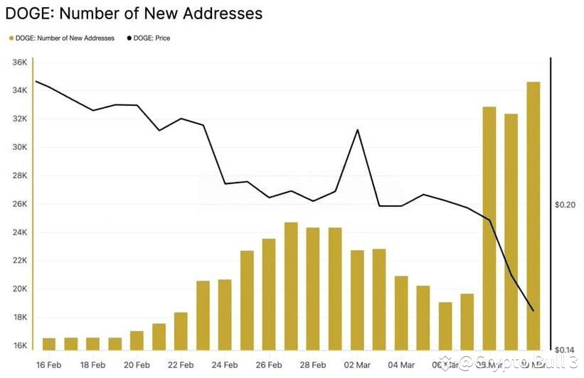🐶📈 #DOGE Dogecoin network is expanding. New addresses have | Crypto ...