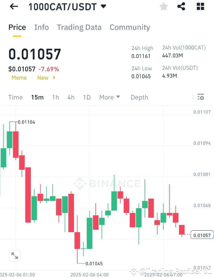 $1000CAT /USDT Market Overview 🔍 Current Price: $0.01057 | Trading Profiser 01 on Binance Square