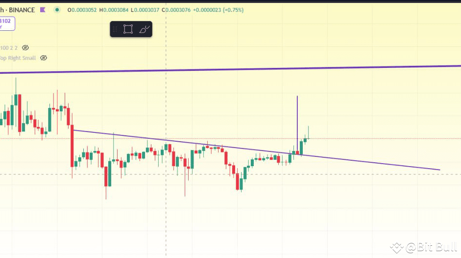 1000sats signal update | Bit Bull on Binance Square