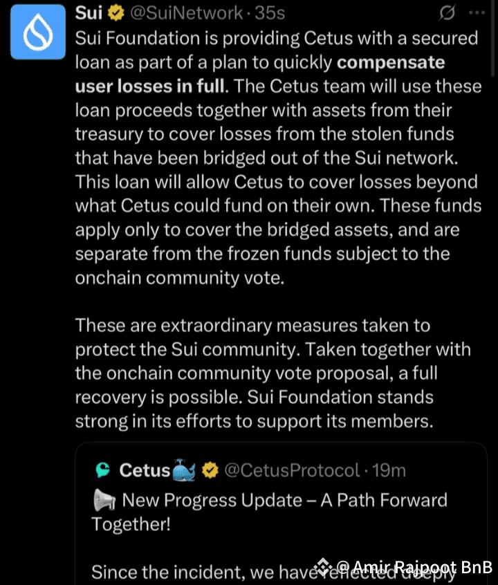 Why $CETUS is Pumping ? 🔥 $SUI Network giving a loan to | Amir Rajpoot ...