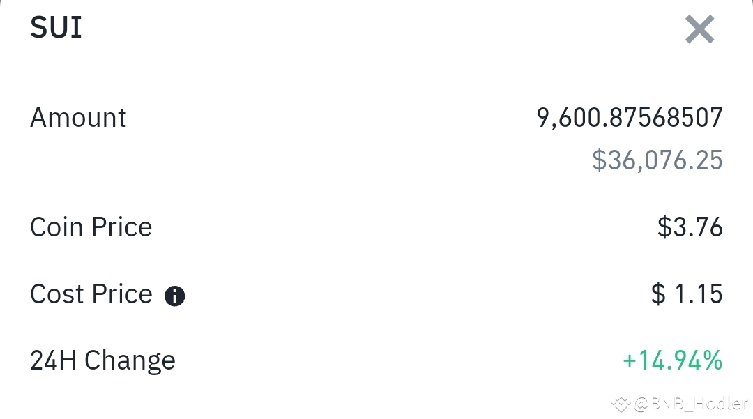 $SUI x3 from here. | BNB_Hodler on Binance Square