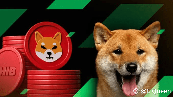 SHIBA: 5 Strategies to Turn $100 into $1 Million | C Queen on Binance ...