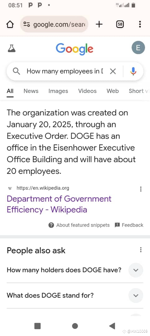 How many Employees does DOGE have? 20, ok they setup an LLC | HW10009 on Binance Square