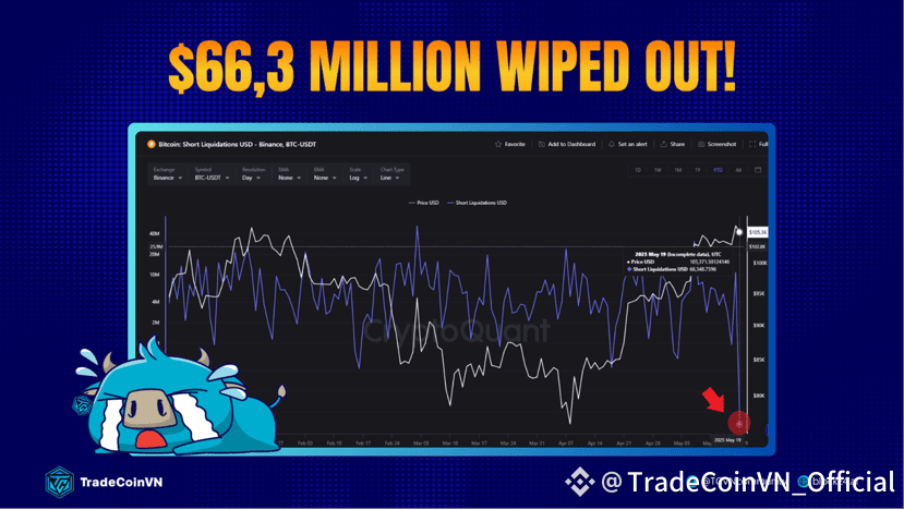 The Largest "Short" Liquidation on Binance in 2025 !? The | TradeCoinVN ...